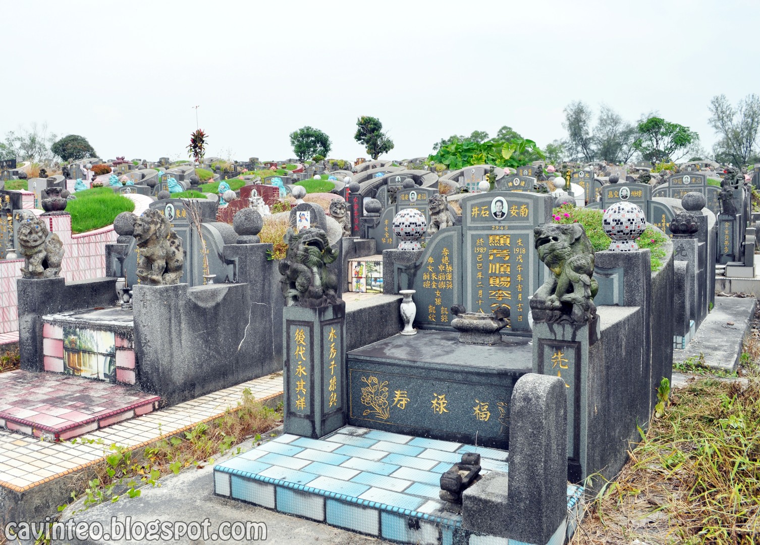 Entree Kibbles: Coiling Snake Tomb [蛇墓] @ Choa Chu Kang Chinese ...